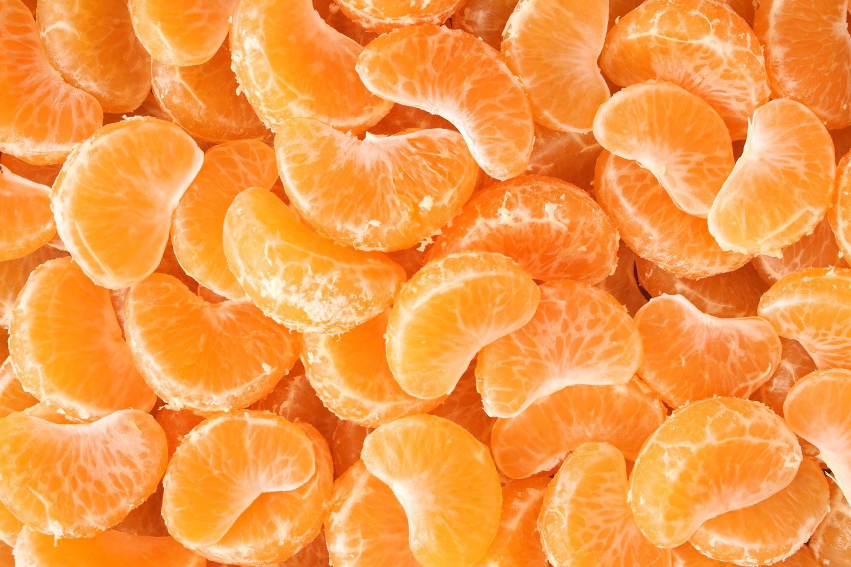 Alive Foundation – Alive Foundation